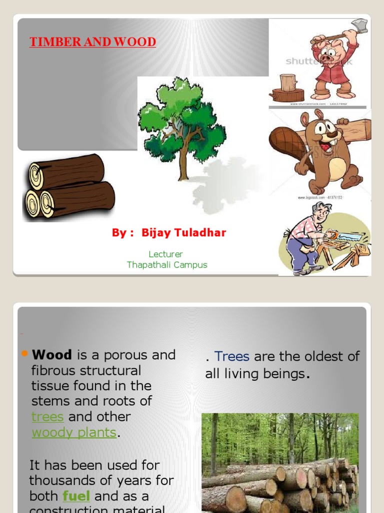 Building Material - Timber & Wood | PDF | Wood | Wood Veneer