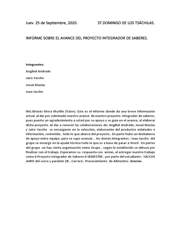 Informe Sobre El Avance Del Proyecto Integrador de Saberes - Final. | PDF