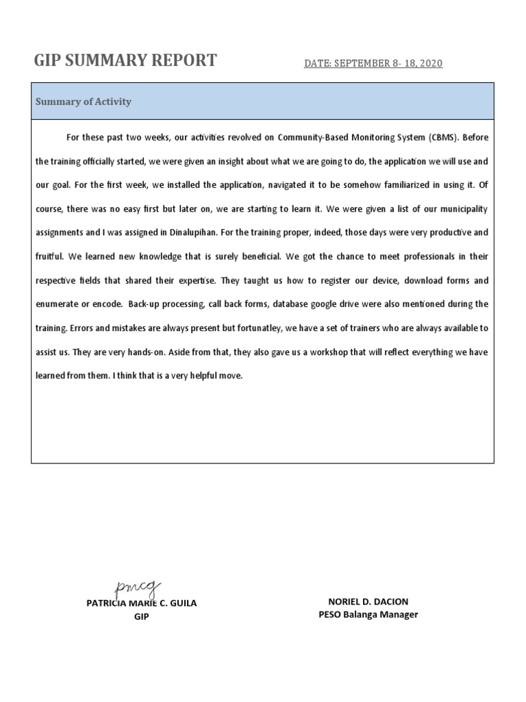 GIP Summary Report: CBMS Training Insights | PDF