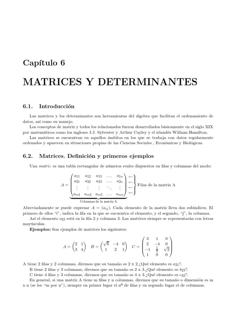 Propiedades matrices | Matriz (Matemáticas) | Determinante