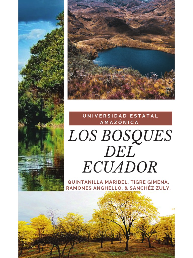 Los Bosques Del Ecuador | PDF | Selva amazónica | Los bosques