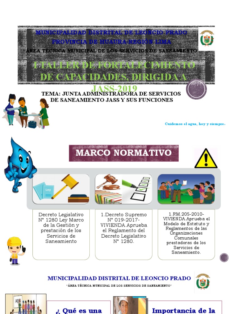 Jass Estautos y Funciones | PDF | Gobierno | Cuidado de salud del gobierno