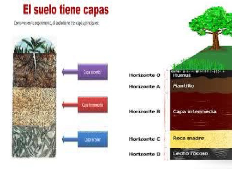 Capas Del Suelo | PDF