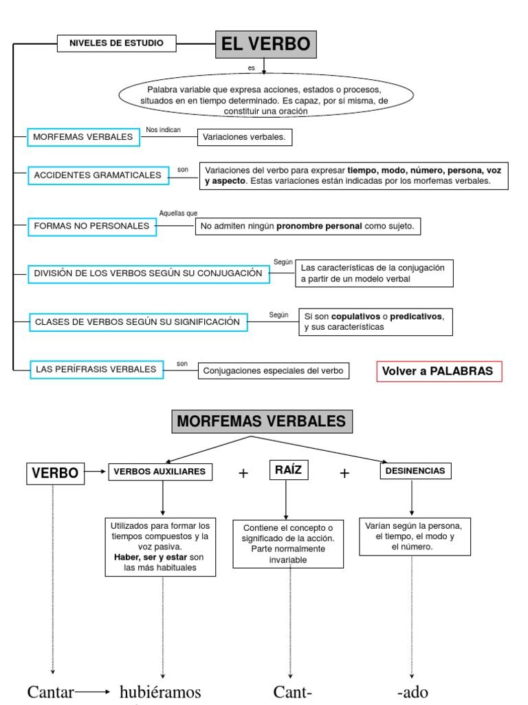 Análisis de los elementos y clasificaciones de los verbos en español ...