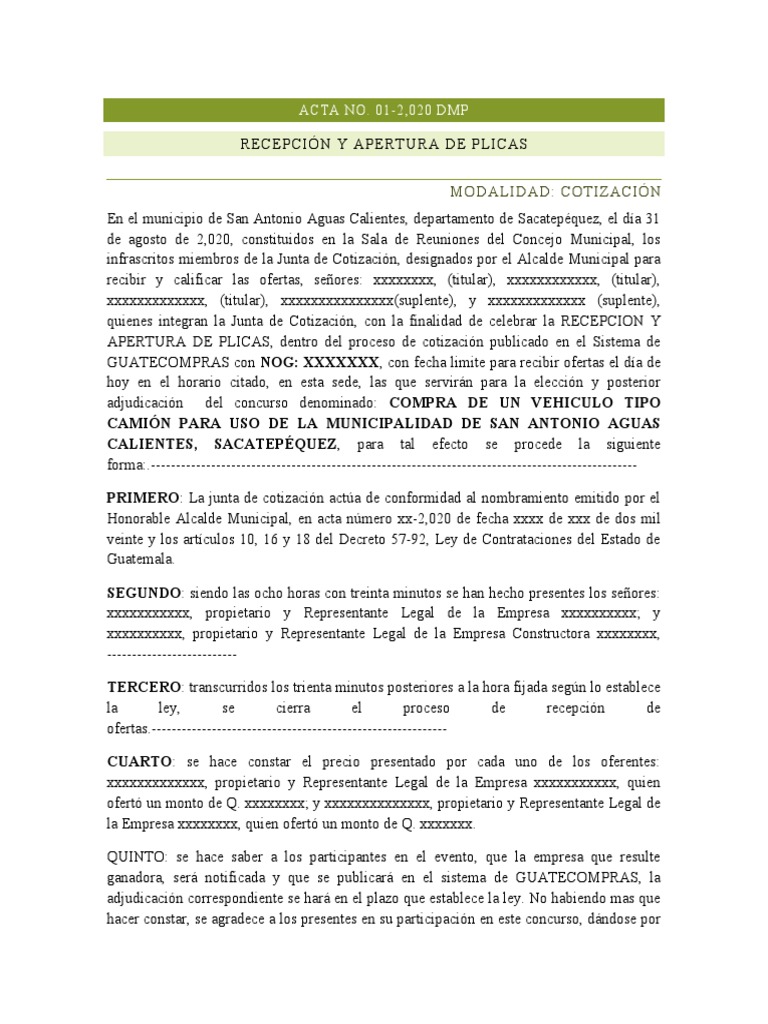 Recepcion de Plicas | PDF | Gobierno