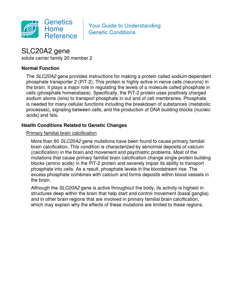 SLC20A2 Gene: Genetics Home Reference | PDF | Cell (Biology) | Brain