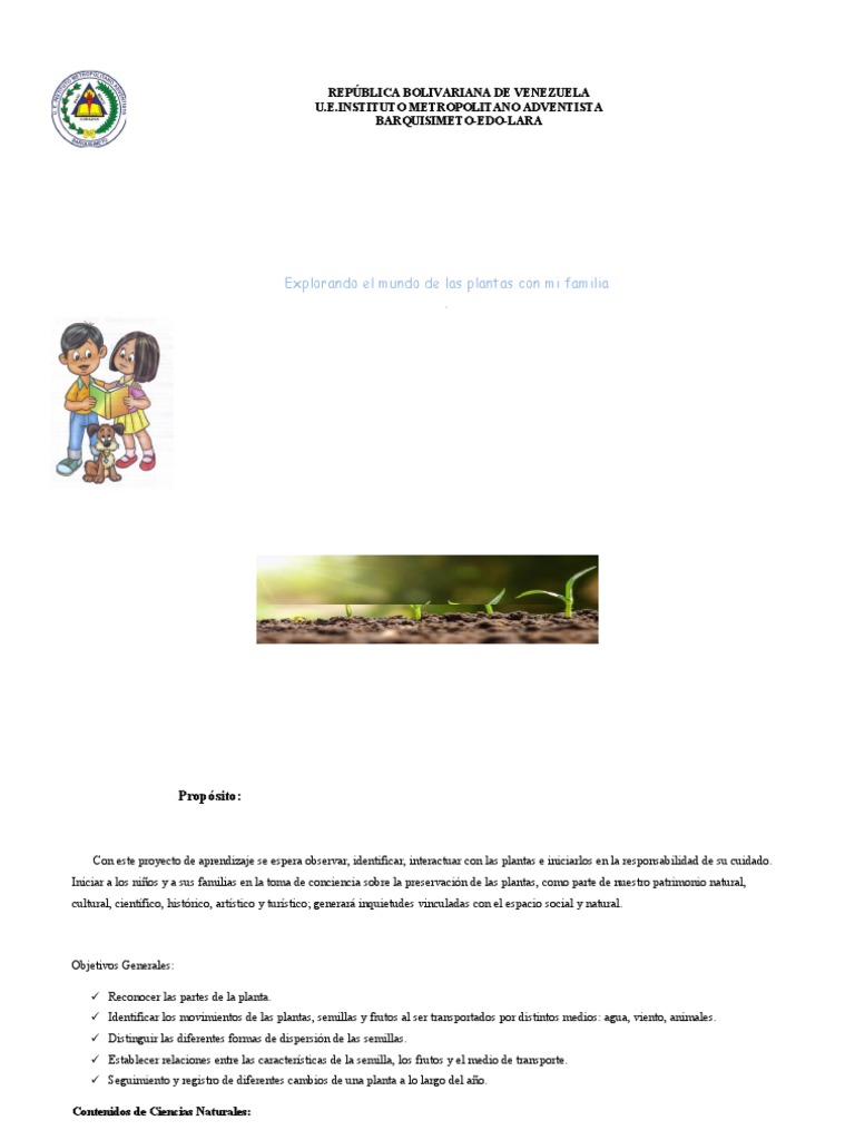 Explorando El Mundo de Las Plantas | PDF | Plantas | Semilla