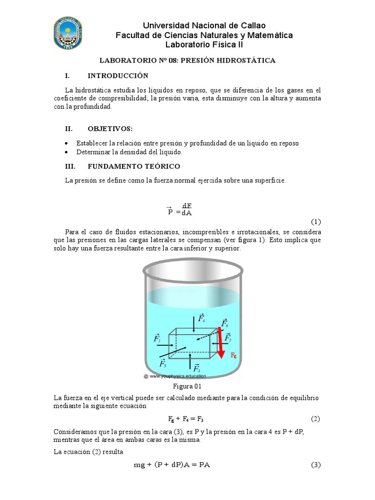 Lab 01 - Presion Hidrostática | PDF | Líquidos | Presión