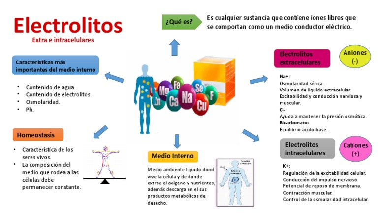 Electrolitos | PDF | Electrólito | Ciencias fisicas