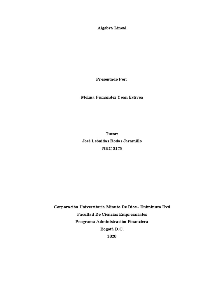 Actividad 8 Algebra Lineal | PDF | Economias | Inversiones