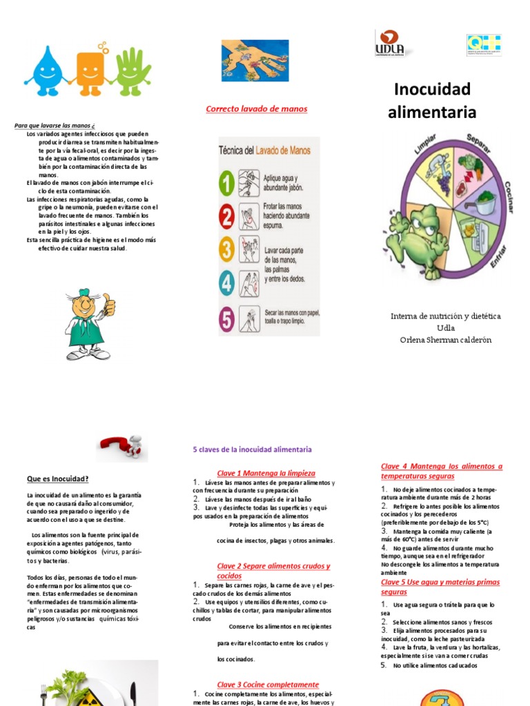 Triptico Final de Inocuidad PDF | PDF | Carne | Alimentos