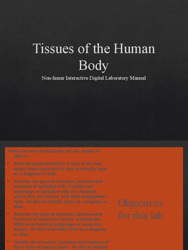 Tissues Lab Protocol | PDF | Epithelium | Tissue (Biology)