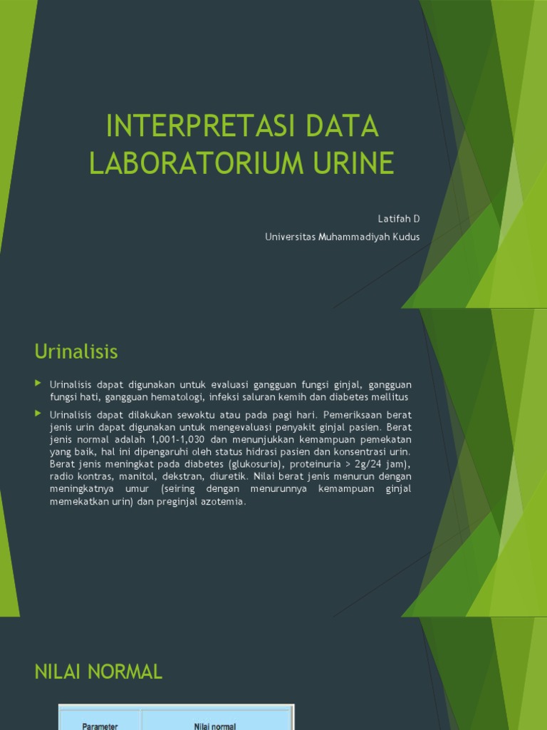 Panduan Lengkap Urinalisis dan Interpretasi Data | PDF