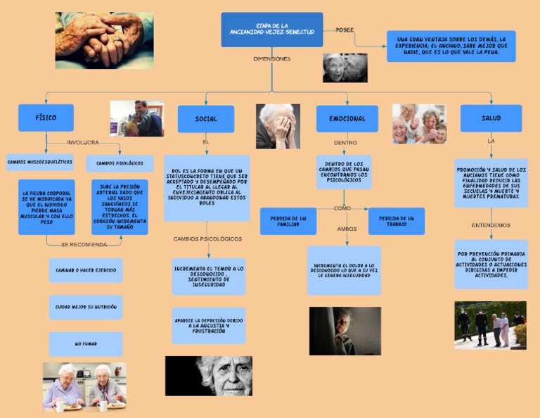 ETAPA DE SENITUD Desarrollo Humano | Descargar gratis PDF | Vejez | Ciencias del comportamiento