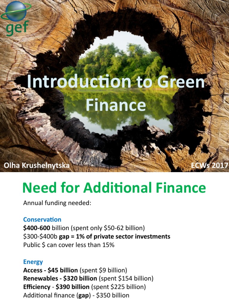 Introduction To Green Finance | PDF | Debt | Loans
