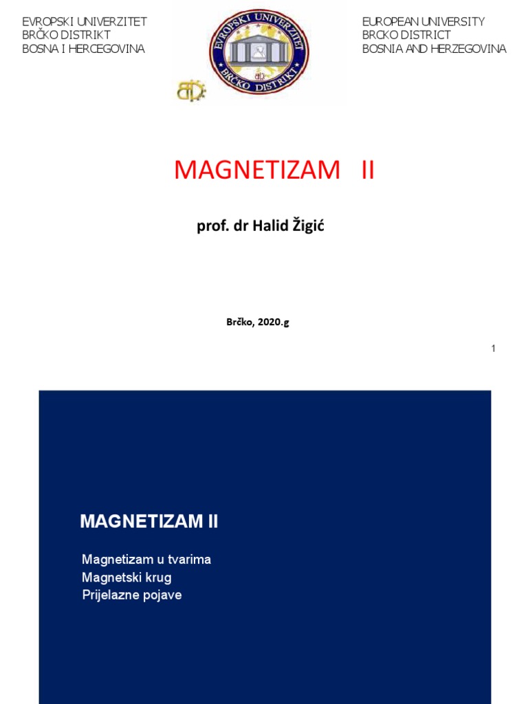 Magnetizam II | PDF