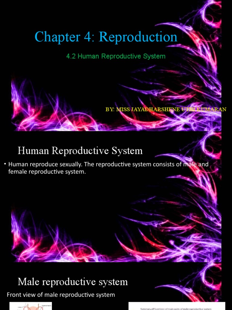 Chapter 4 Reproduction | PDF | Reproductive System | Reproduction