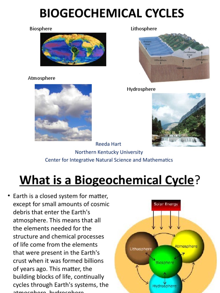 Biogeochemical Cycles: Lithosphere Biosphere | PDF | Carbon Cycle | Oxygen