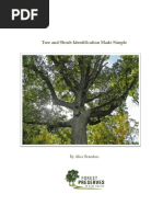 Tennessee Tree Identification Guide | PDF | Trees | Oak