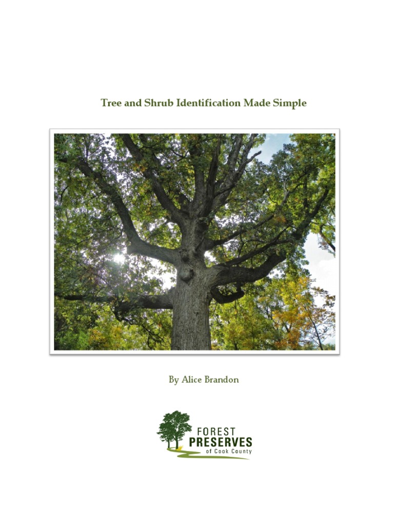 Tree and Shrub Identification Guide | PDF | Leaf | Oak