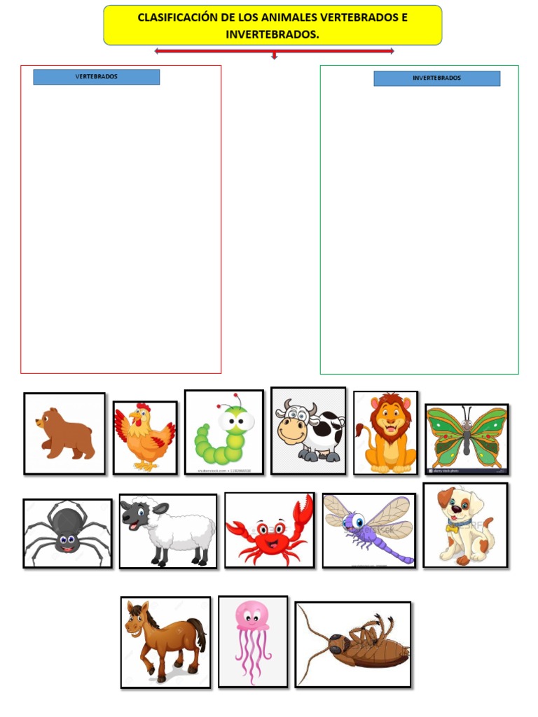 Clasificacion de Los Animales Vertebrados e Invertebrados | PDF