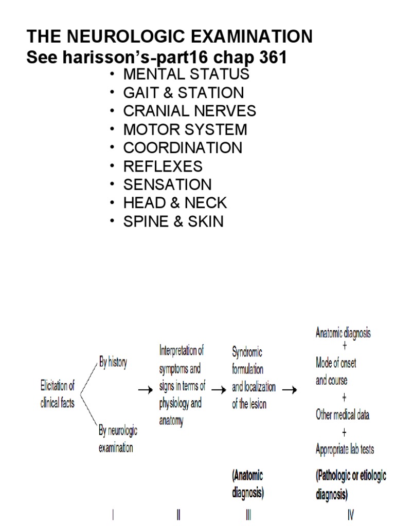 1mental Status | PDF | Parietal Lobe | Lateralization Of Brain Function