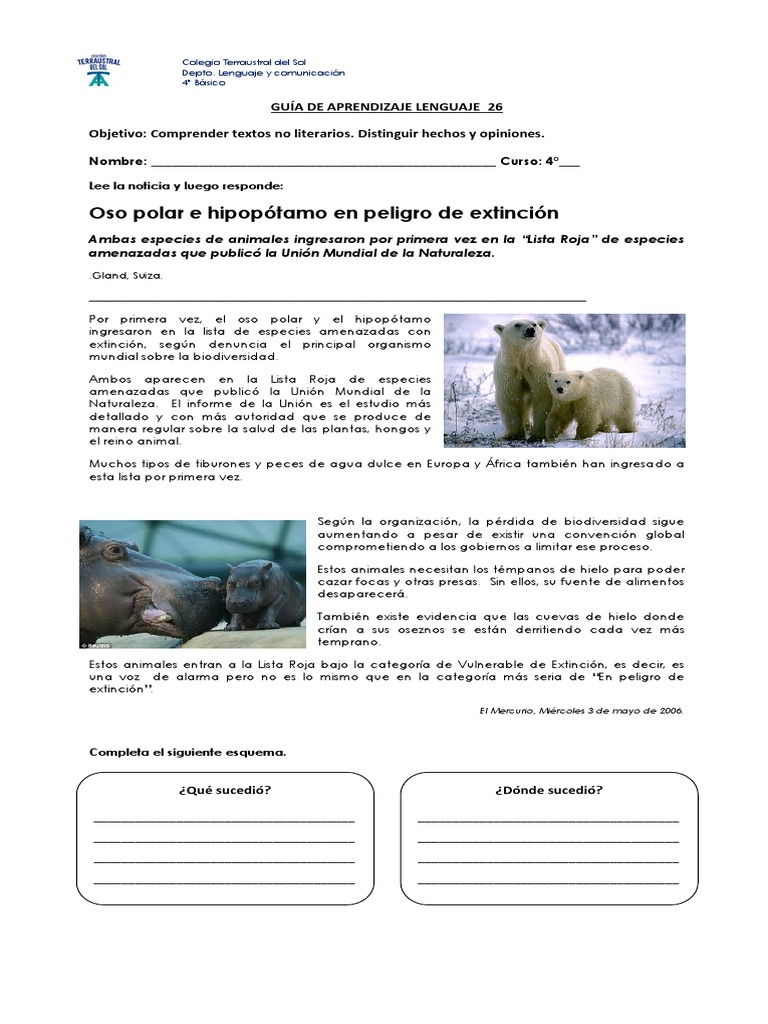 Hoja De Trabajo De Comprensión Del Oso Polar