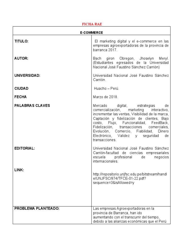 FORMATO FICHA RAE E-Commerce Empresas Agroexportadoras | PDF | Comercio ...