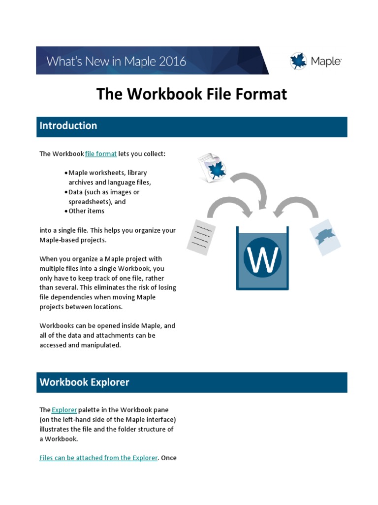 The Workbook File Format | PDF | File Format | Worksheet
