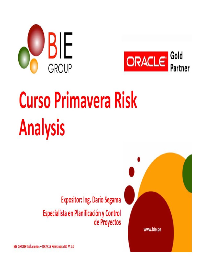 Primavera Risk - Cap 2 | PDF | Informática | Software