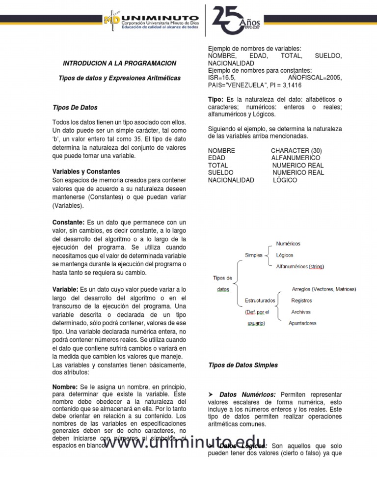 Actividad Introduccion A La Programacion | PDF | Tipo de datos | Variable (informática)