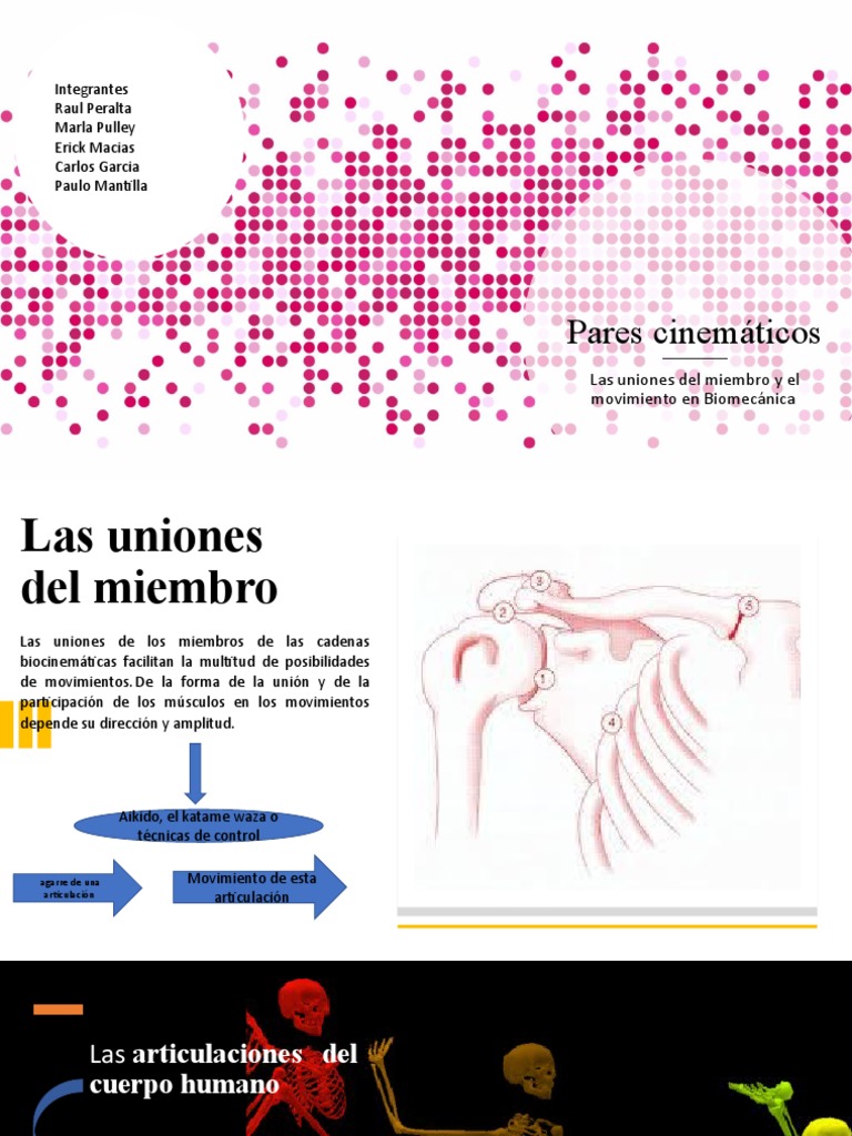 Pares Cinemáticos | PDF | Articulación | Hueso