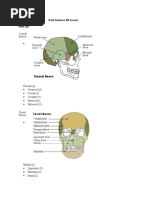Human Skeleton Bones Chart | PDF | Musculoskeletal System | Skeletal System