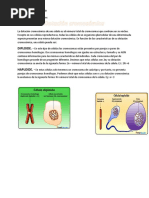 Clase#2 Dotación Cromosomica. | PDF | Cromosoma | Biología Celular)