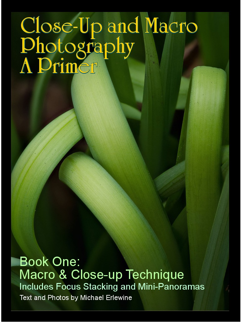 Close-Up and Macro Photography A Primer | PDF | Macro Photography ...
