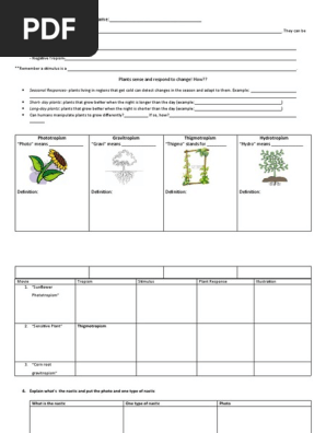 Tropism Worksheet