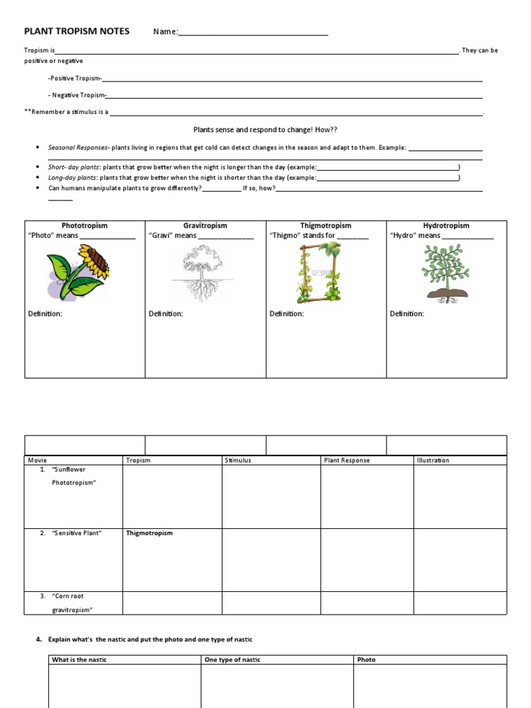 Plant Tropism Notes: Name | PDF
