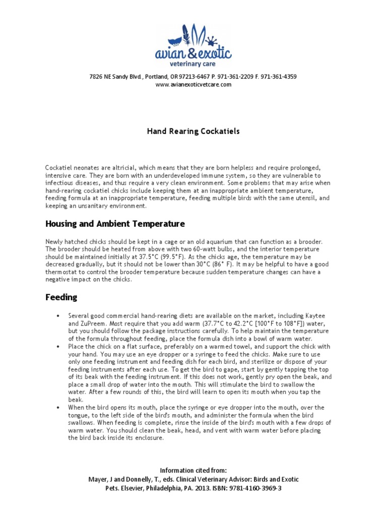 Hand Rearing Cockatiels: Housing and Ambient Temperature | Download ...
