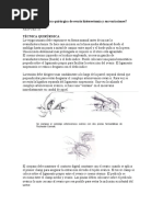 Pasos Quirúrgicos para La Cesárea Tipo Kerr | PDF | Abdomen | Seccion ...