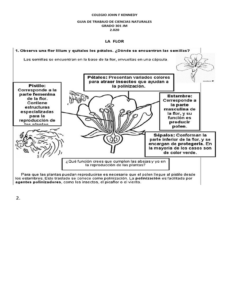 Ciencias - La Flor | PDF