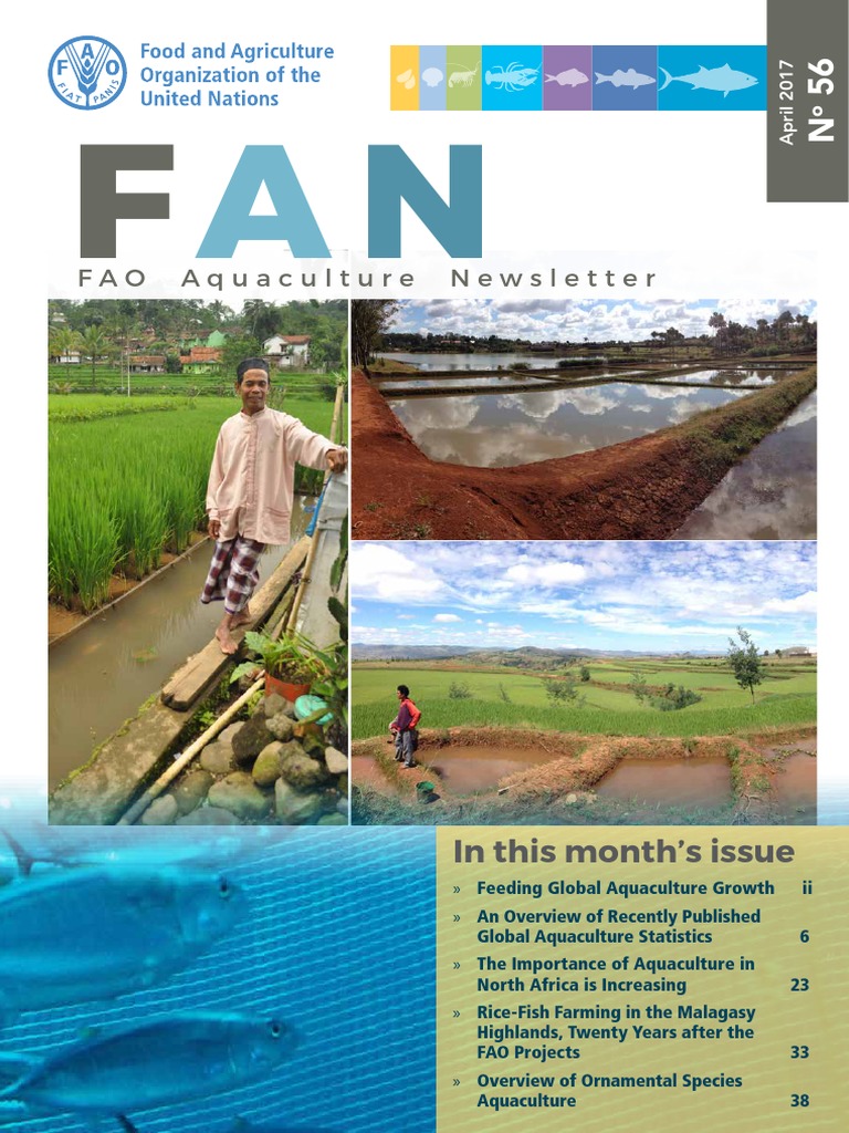Fao, 2017 PDF | PDF | Aquaculture | Fish And Humans