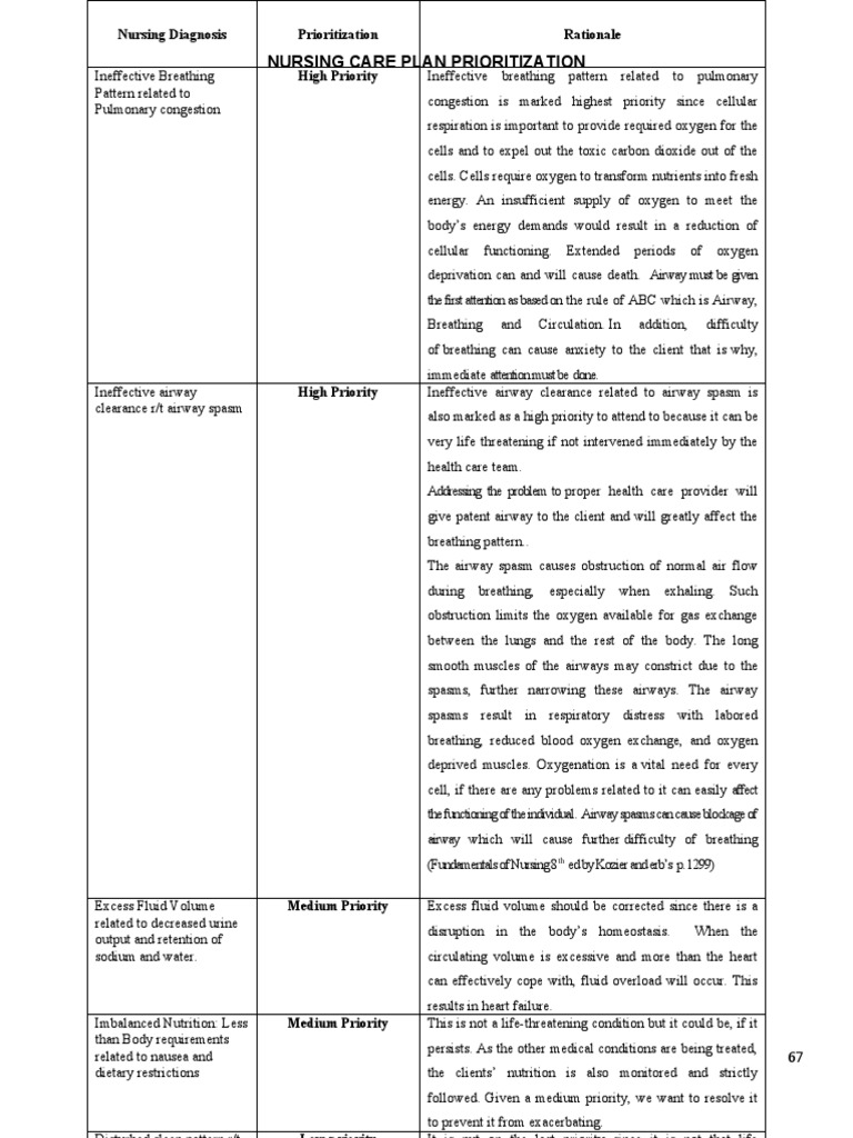 Nursing Care Plan Prioritization | PDF | Breathing | Respiratory Tract