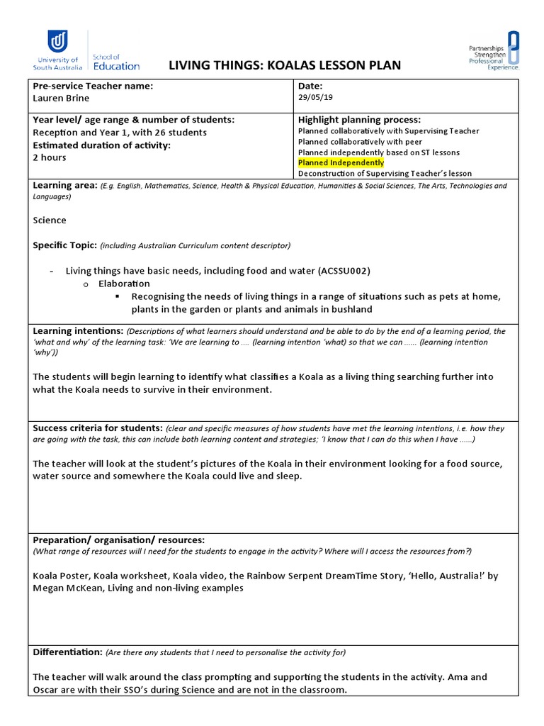 Koala Lesson Plan for Science Class | PDF | Koala | Teachers