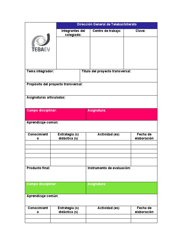 Formato Proyecto Transversal | PDF