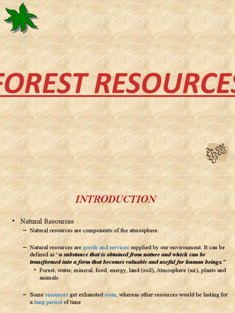 Importance of Forest Resources: An Overview of Forest Ecology ...