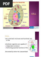 Class 11 Cell Structure Notes PDF | PDF | Cytoskeleton | Cell (Biology)