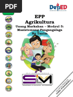 Epp 4 Quarter 1 Module 5 | PDF