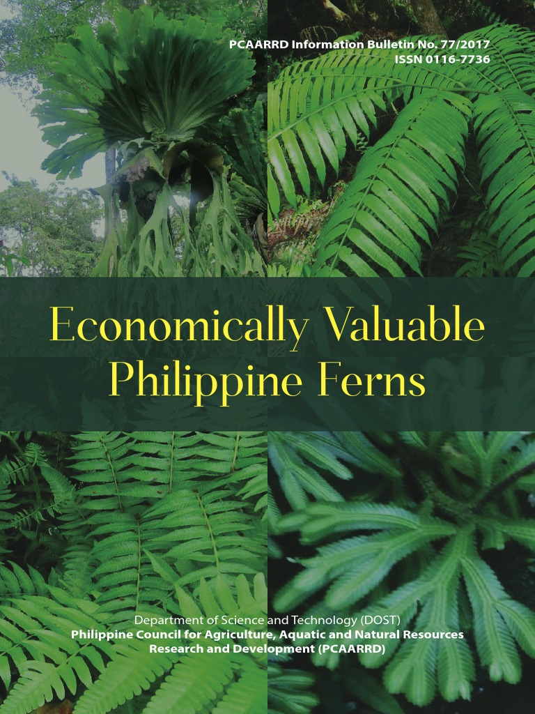 Economically Valuable Philippine Ferns - Beta | PDF | Philippines ...