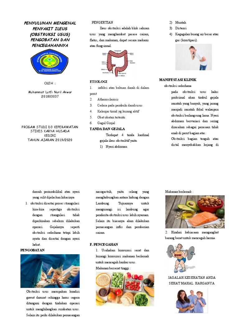 Leaflet Nuril Ileus | PDF