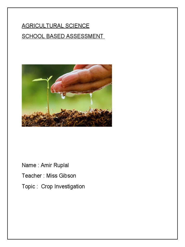 School-Based Assessment: Lettuce Growth | PDF | Lettuce | Soil